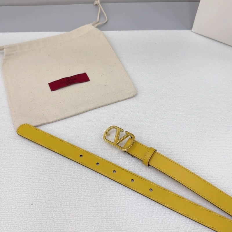 Inexpensive Valentino Belts
