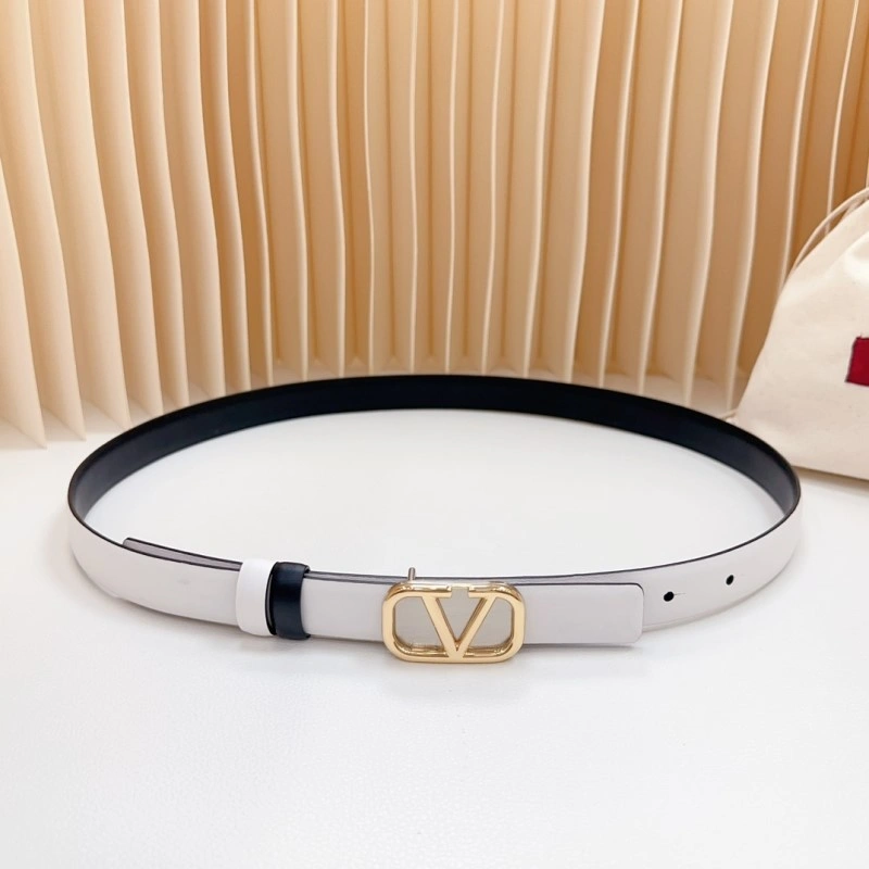 Indistinguishable Valentino Belts
