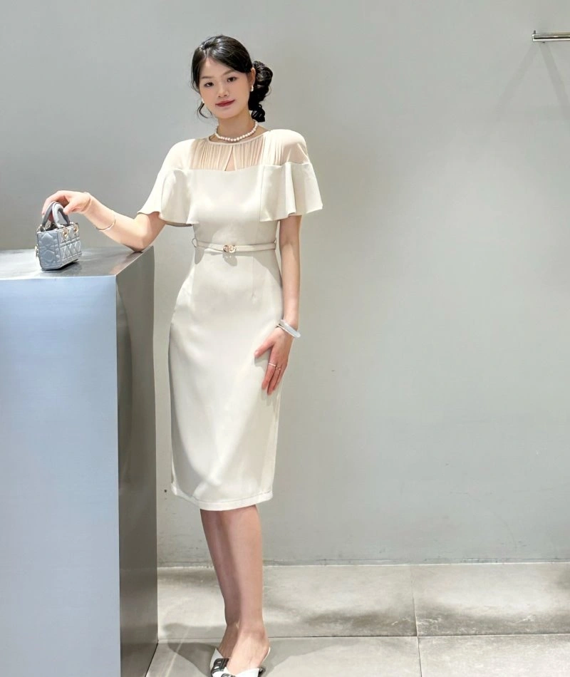 Accurate model Valentino Dress