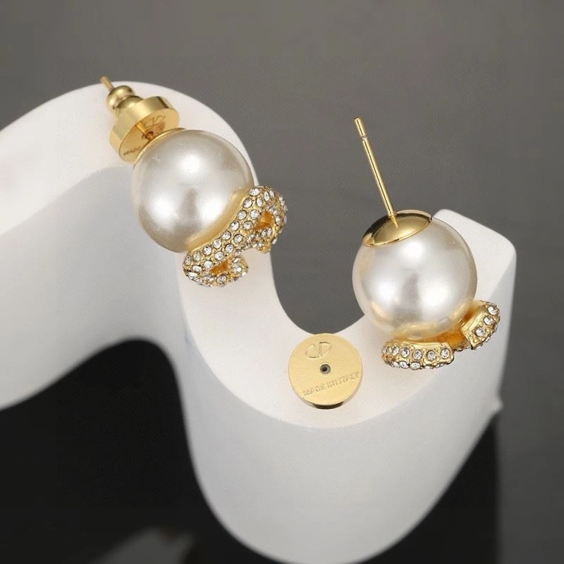 Budget-friendly Valentino Earrings