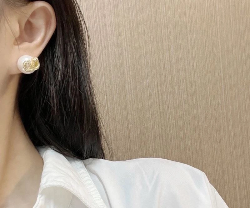 Budget-friendly Valentino Earrings