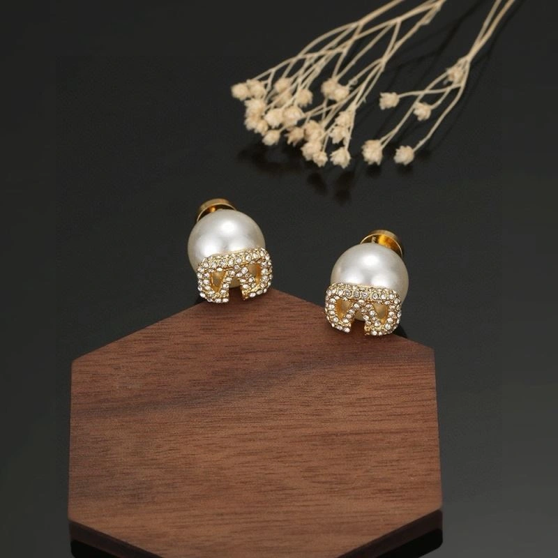 Budget-friendly Valentino Earrings
