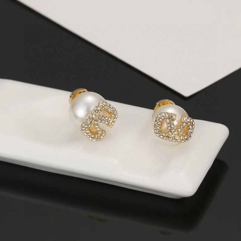 Budget-friendly Valentino Earrings