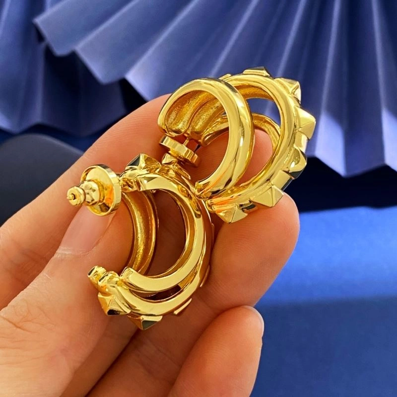 High accuracy Valentino Earrings