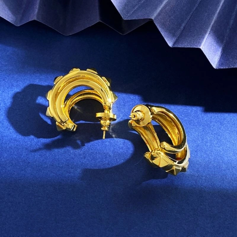 High accuracy Valentino Earrings