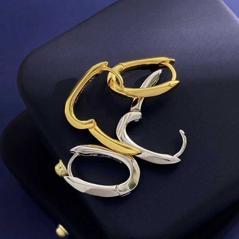 Mirror quality Valentino Earrings