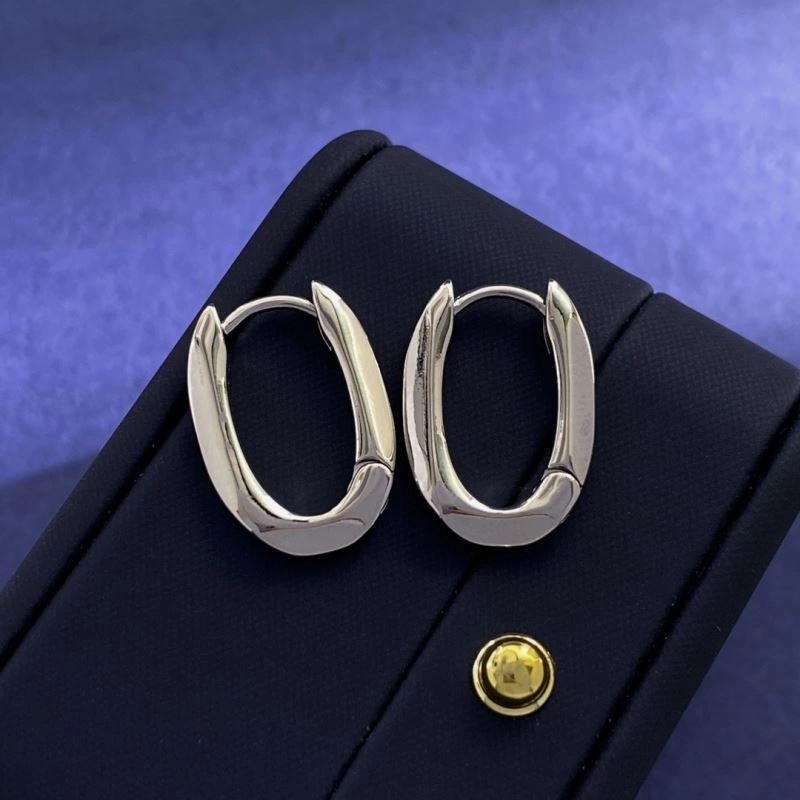 Mirror quality Valentino Earrings