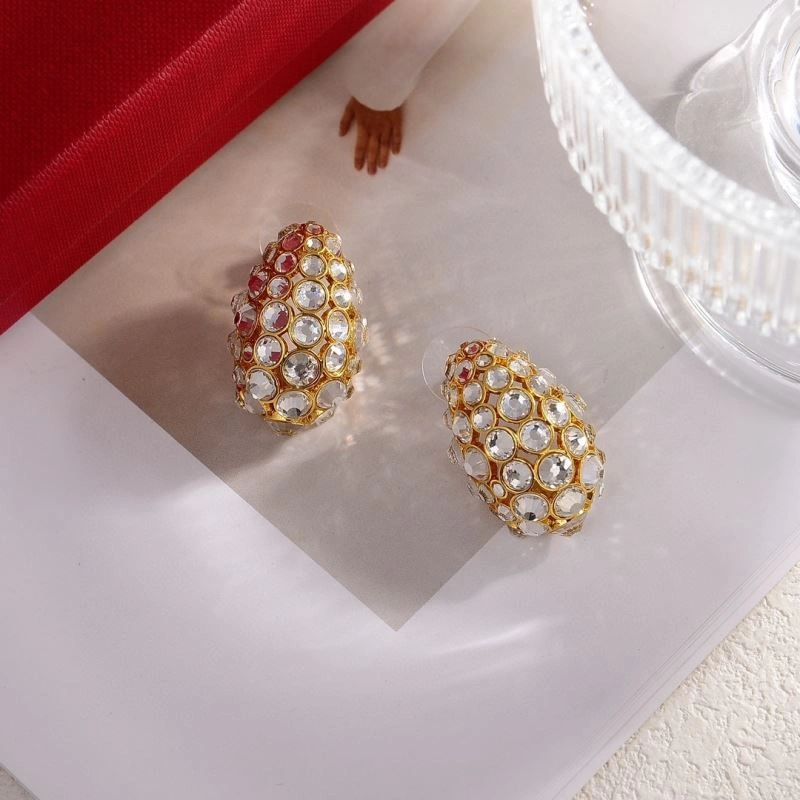 Valentino Earrings