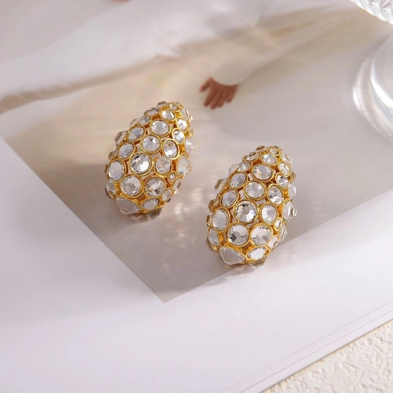 Valentino Earrings