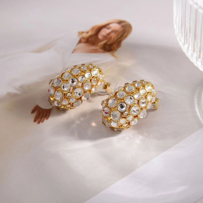Valentino Earrings