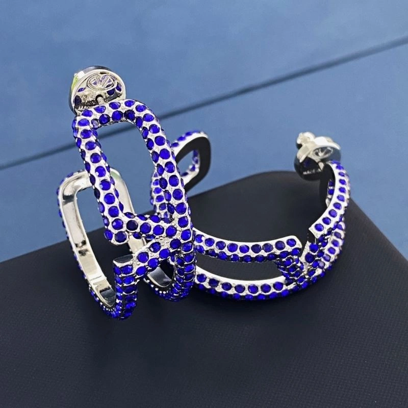 Low-cost Valentino Earrings