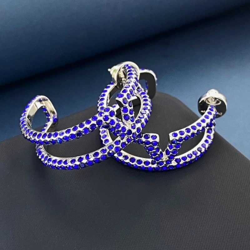Low-cost Valentino Earrings