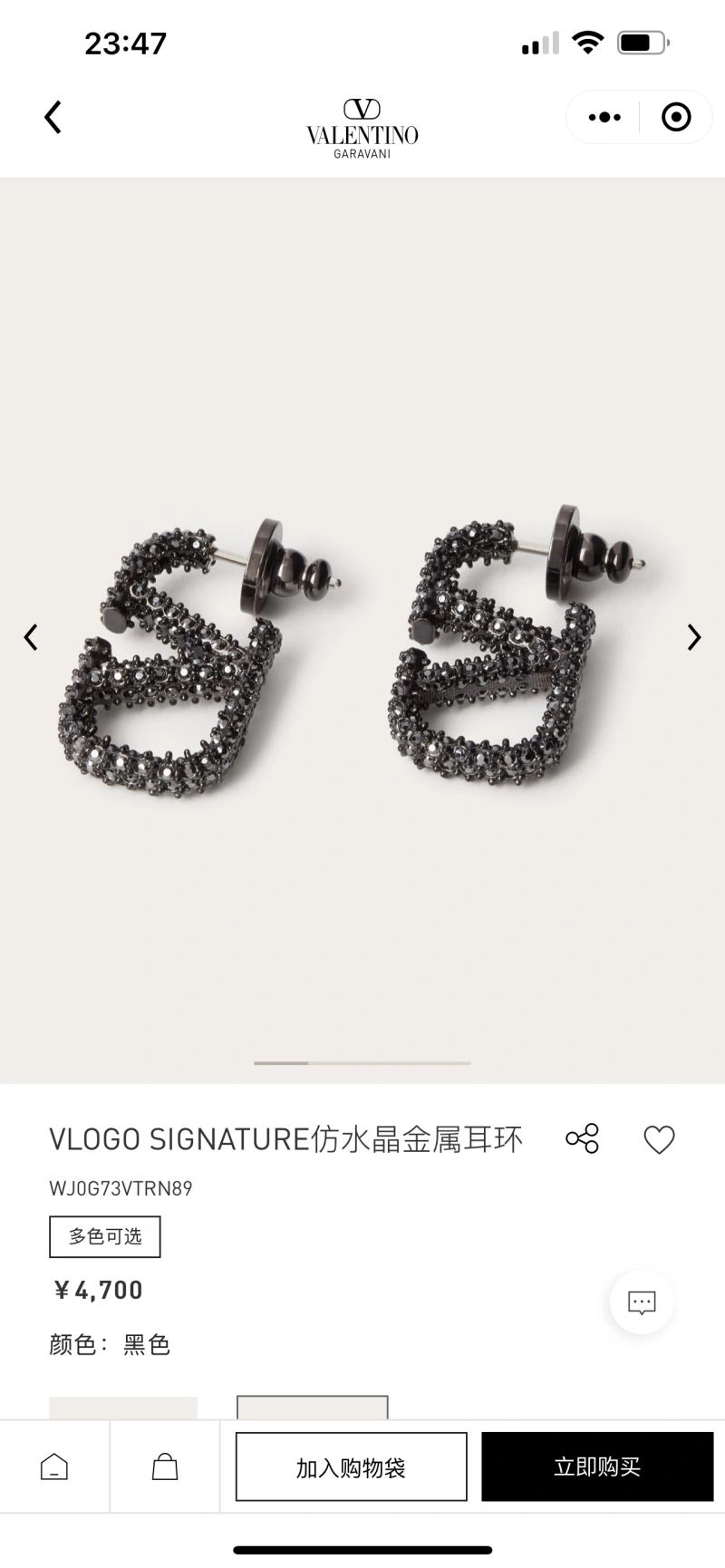Valentino Earrings
