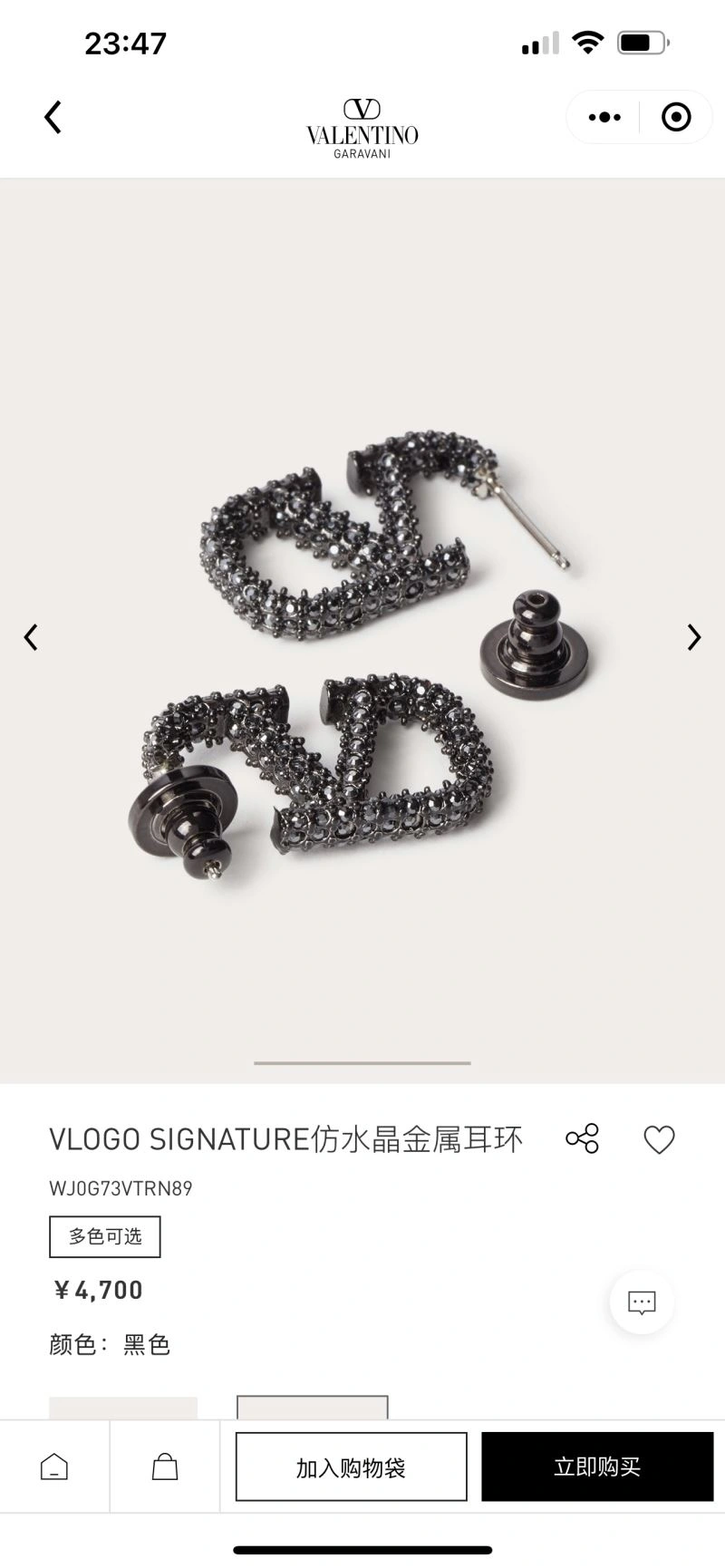 Low-cost Valentino Earrings