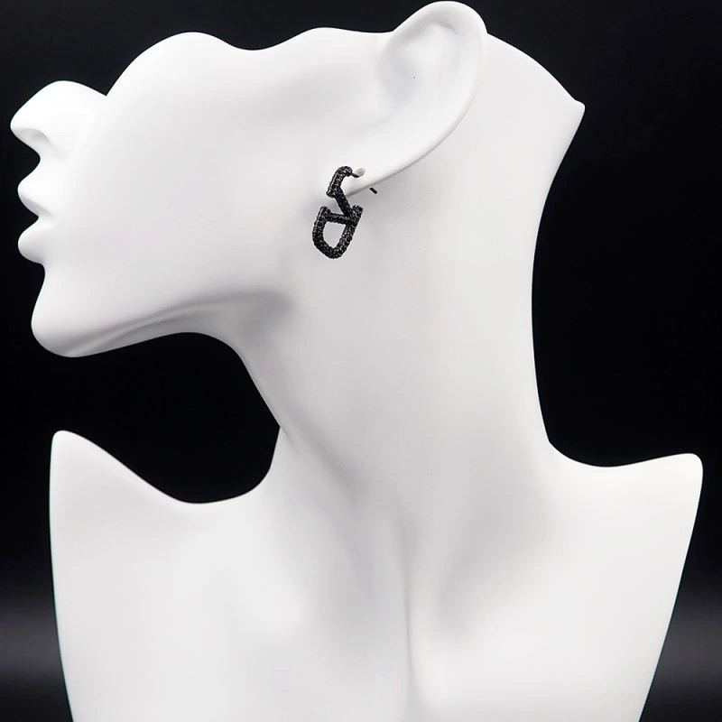 Low-cost Valentino Earrings