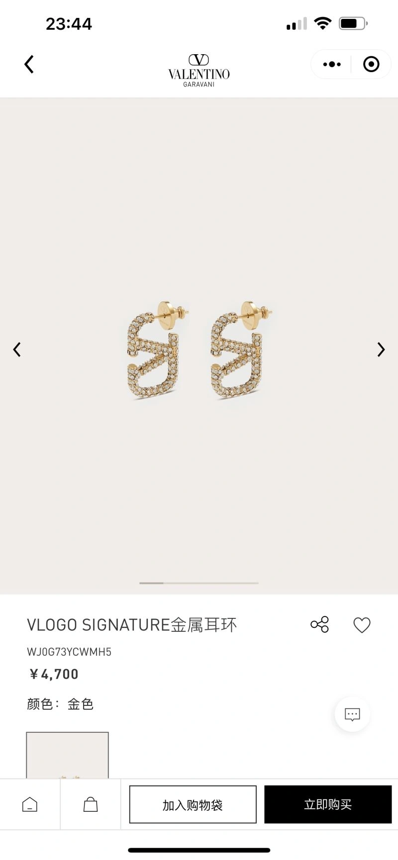 Valentino Earrings