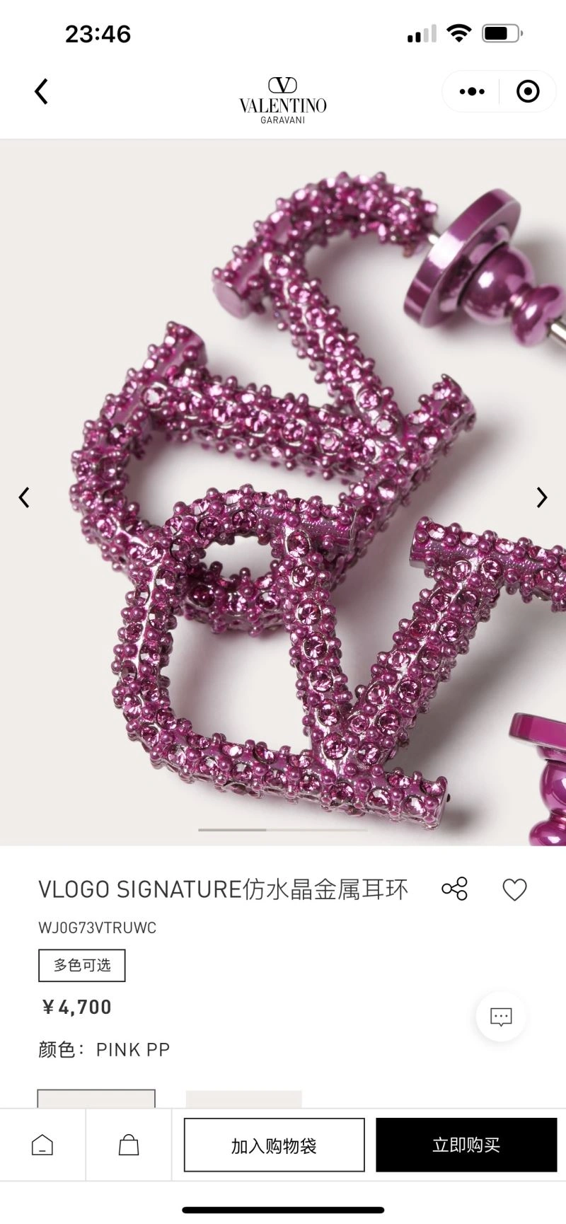 Valentino Earrings