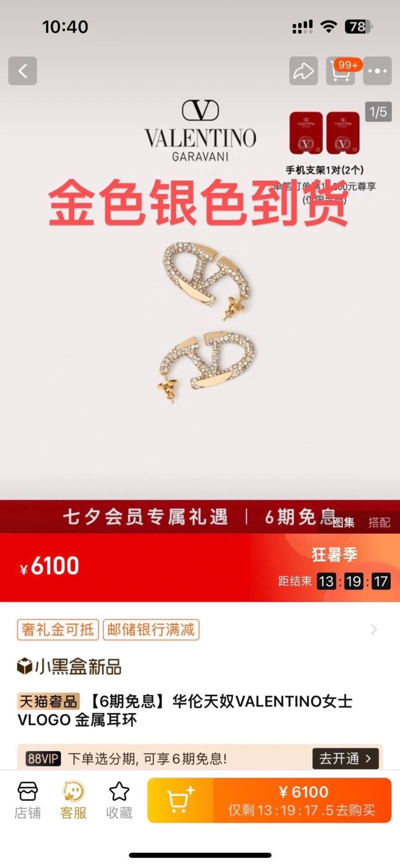 Valentino Earrings