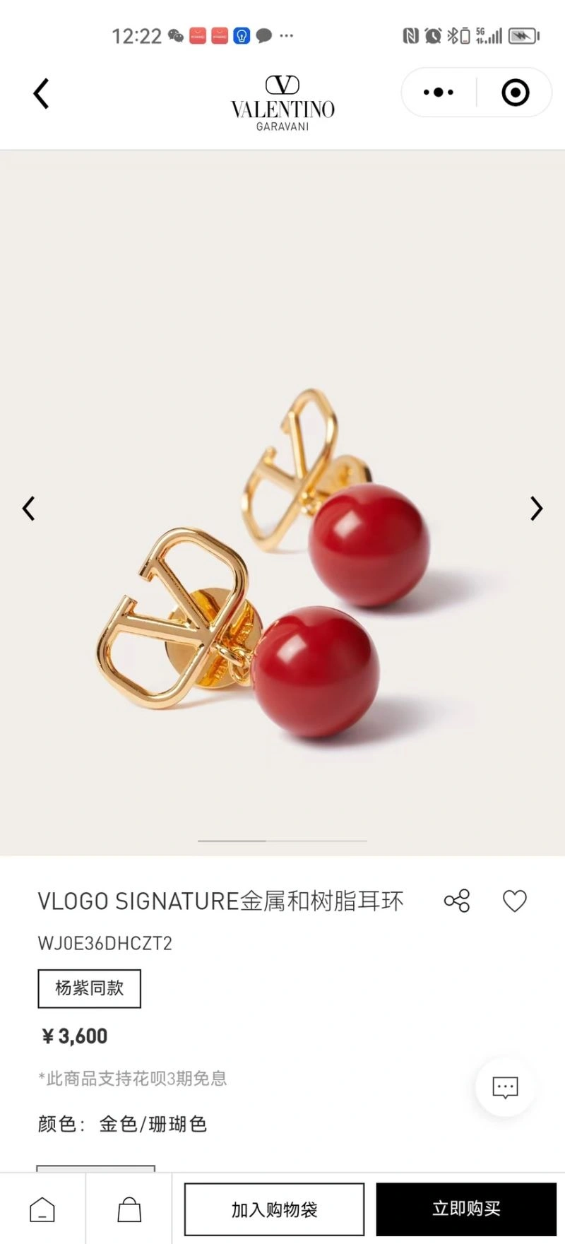 Valentino Earrings