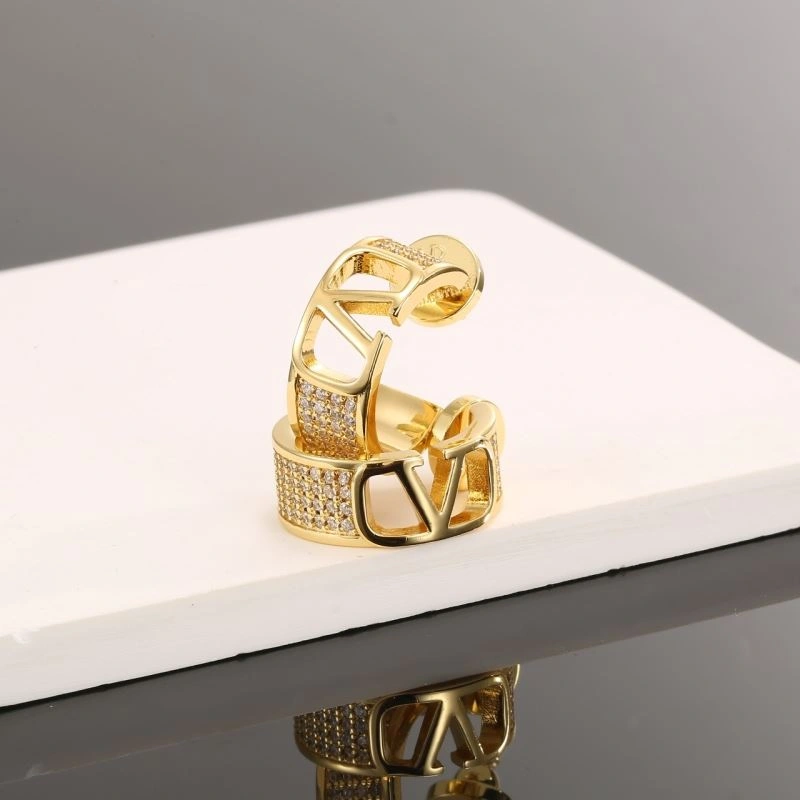 Reasonably priced Valentino Earrings