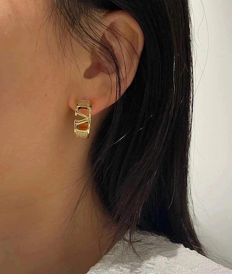 Reasonably priced Valentino Earrings