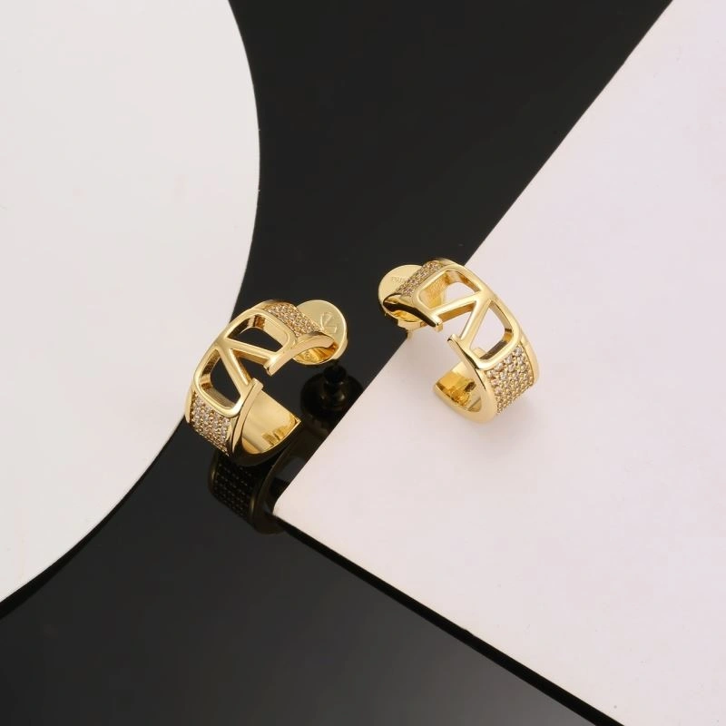 Reasonably priced Valentino Earrings