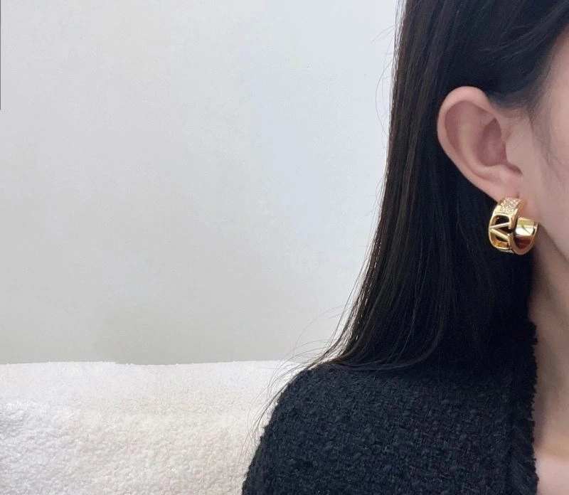 Reasonably priced Valentino Earrings