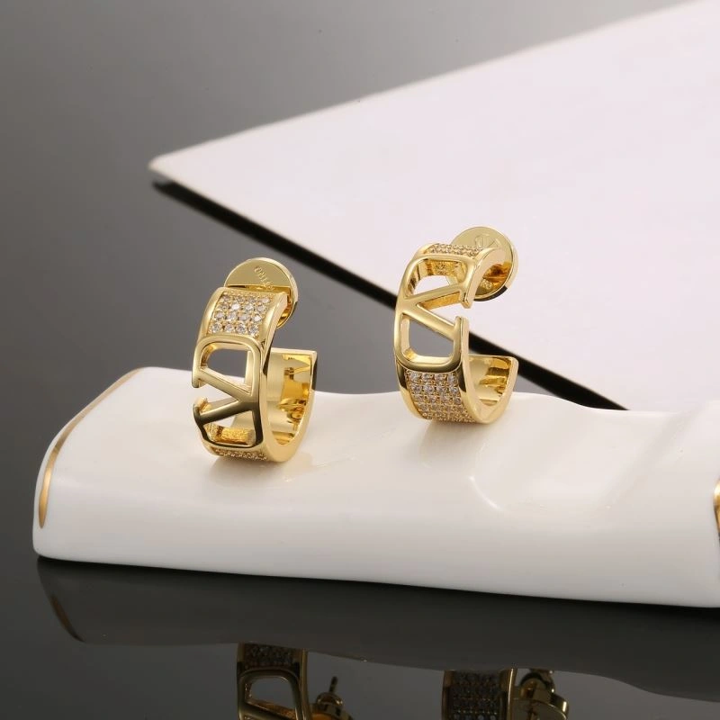 Reasonably priced Valentino Earrings