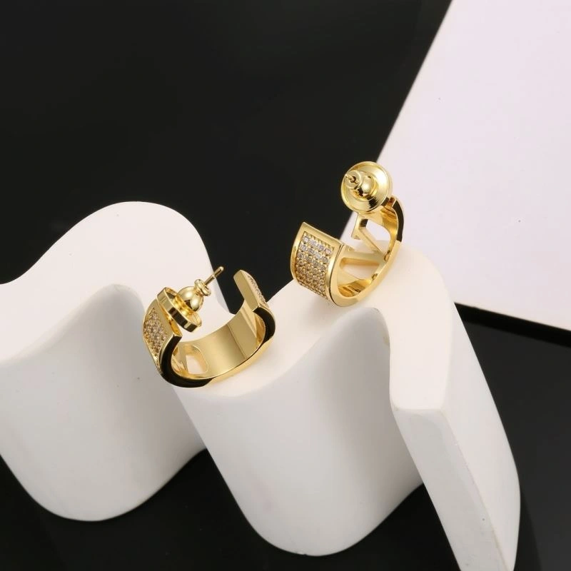 Reasonably priced Valentino Earrings