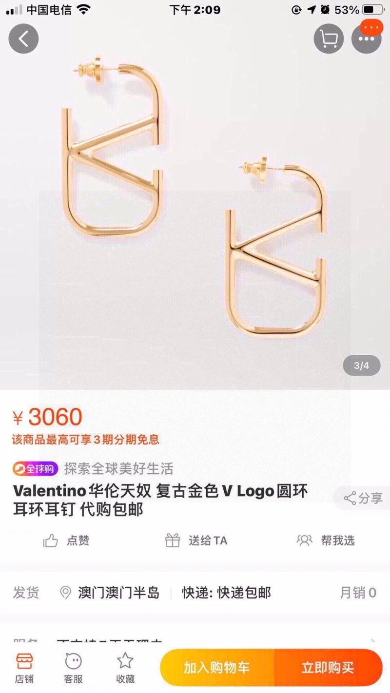 Indistinguishable Valentino Earrings
