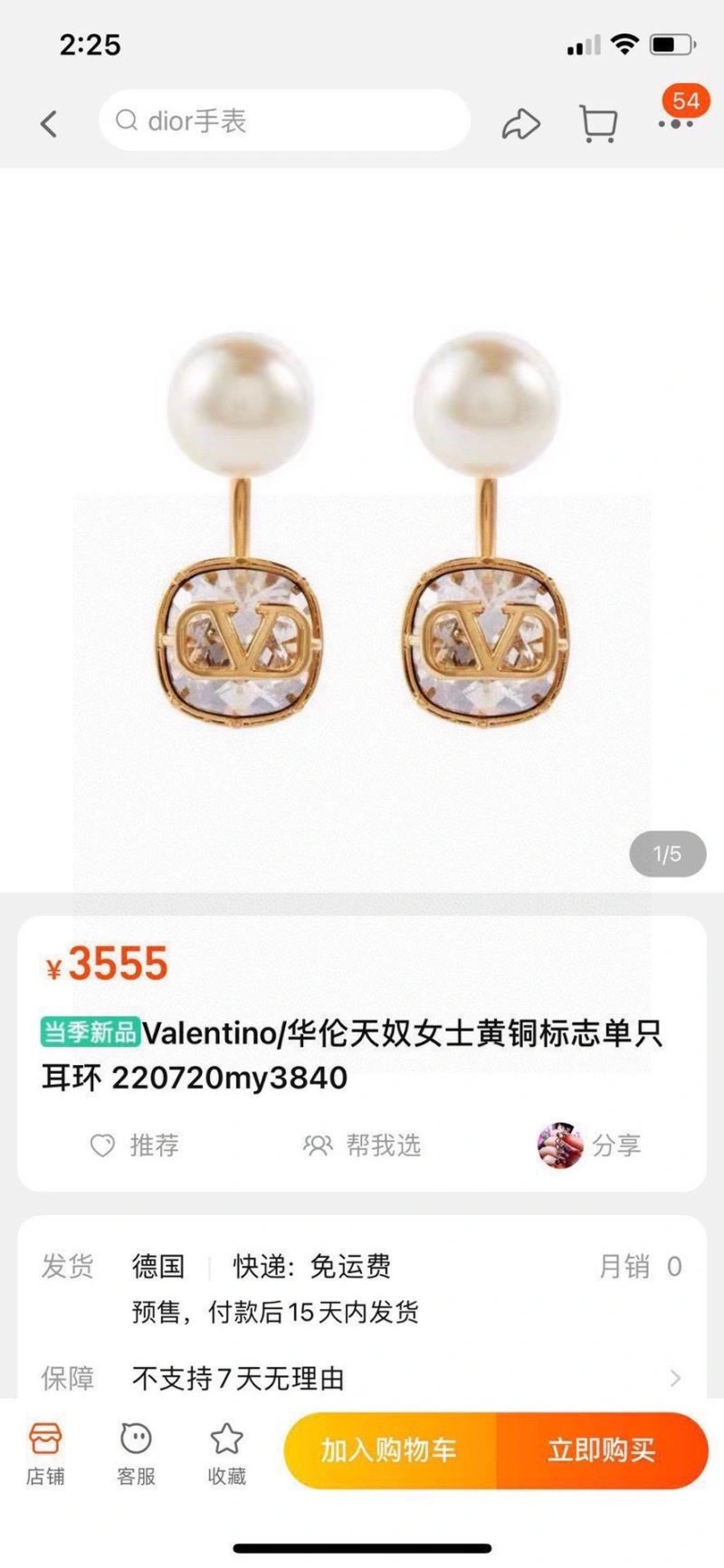 Cut-rate Valentino Earrings