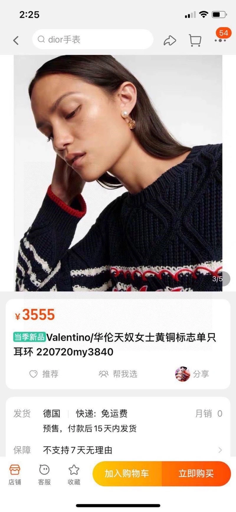 Cut-rate Valentino Earrings