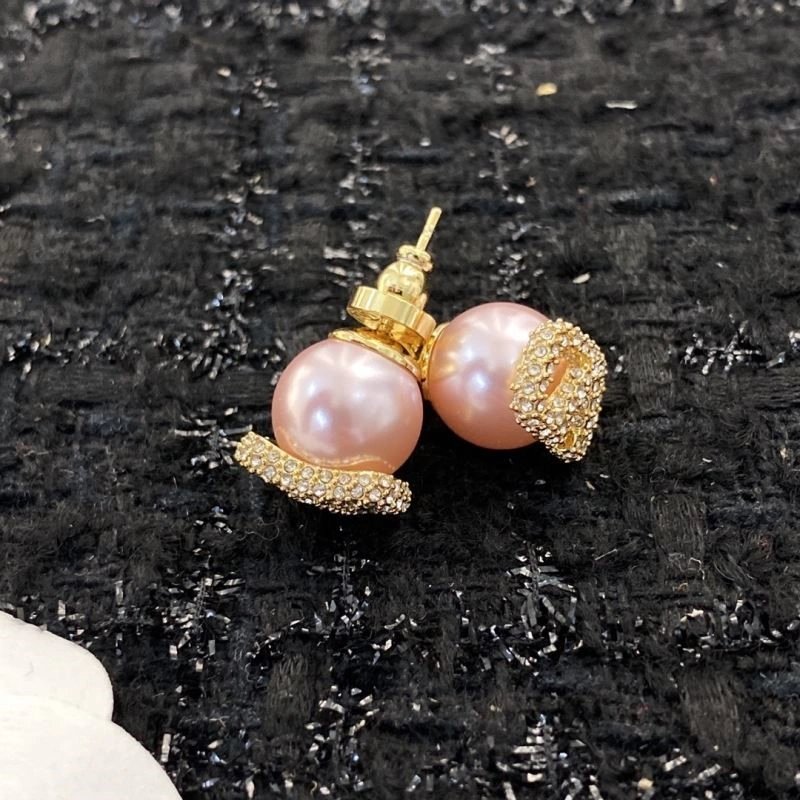 Valentino Earrings