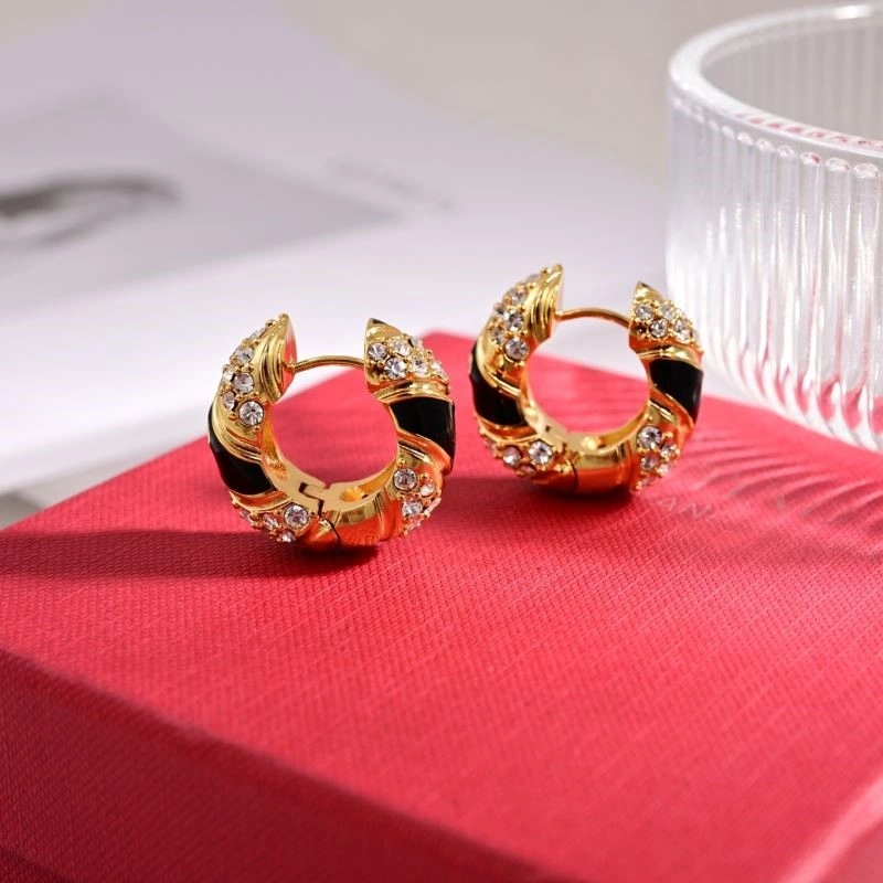 Mirror quality Valentino Earrings