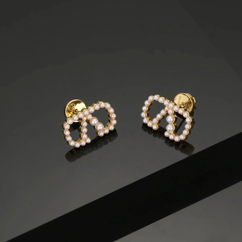 Reasonably priced Valentino Earrings