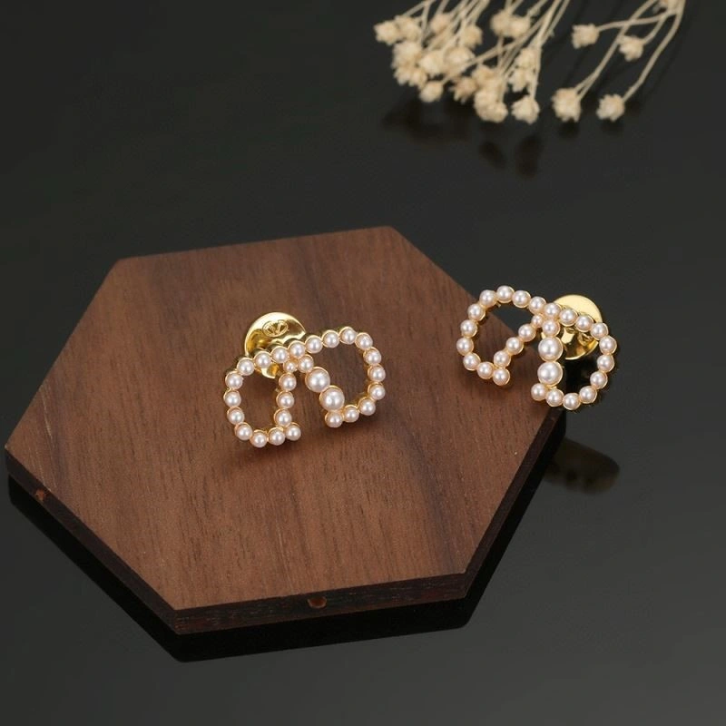 Reasonably priced Valentino Earrings