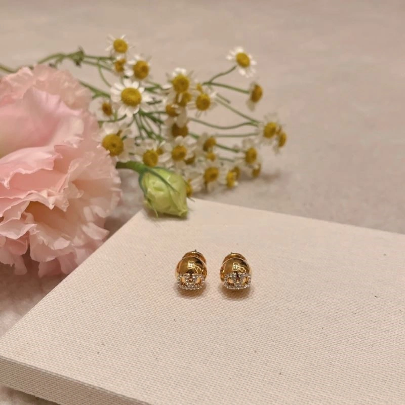 Valentino Earrings