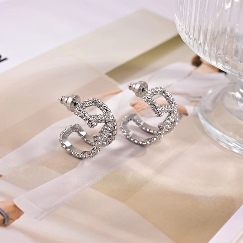 Low-cost Valentino Earrings