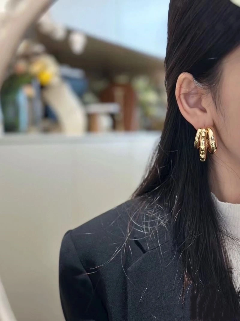 High accuracy Valentino Earrings