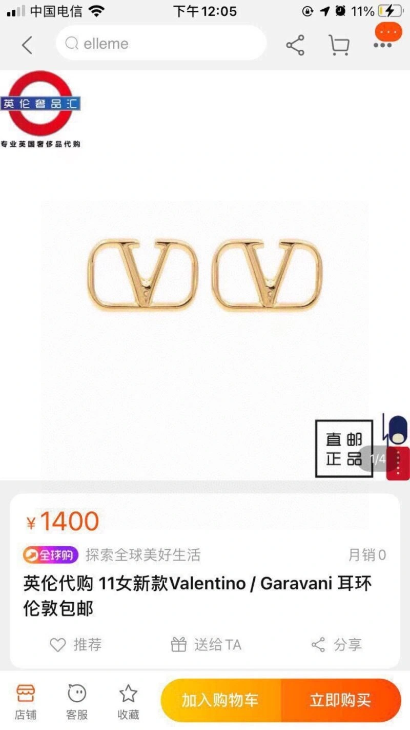 Top match Valentino Earrings