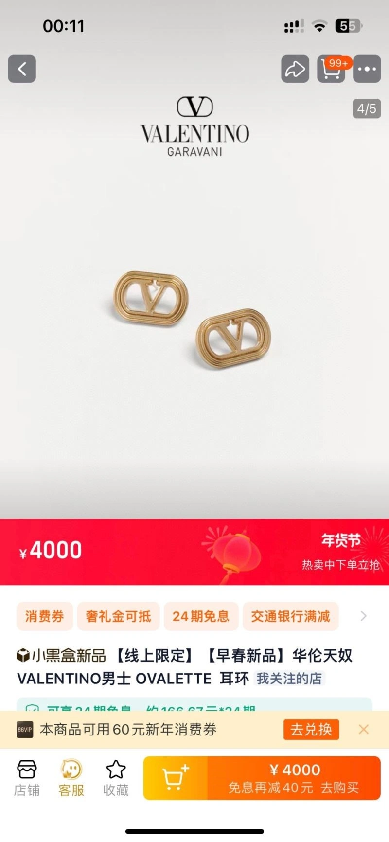 Valentino Earrings