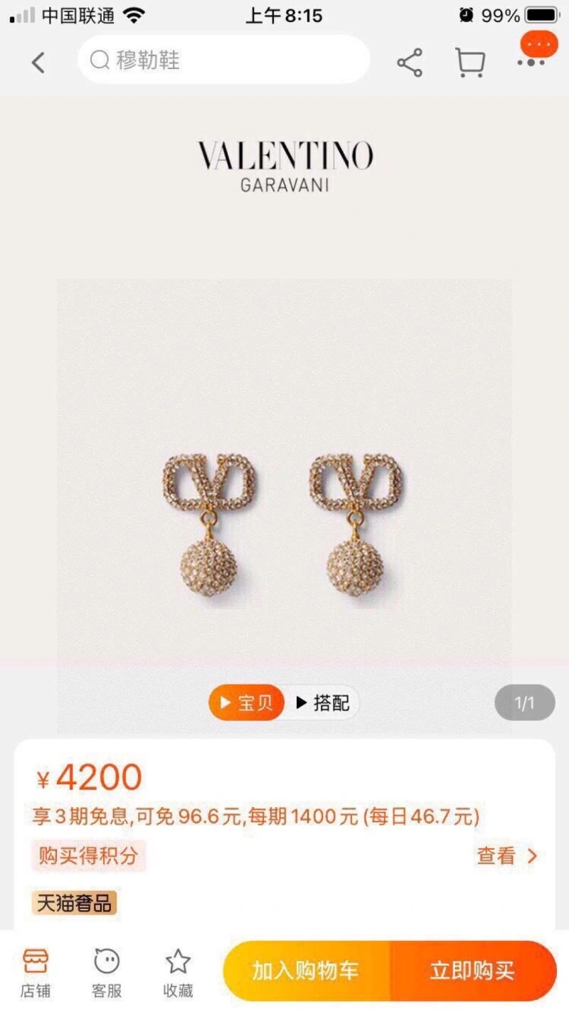 Official Valentino Earrings