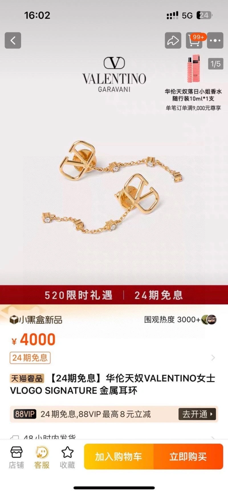 Economical Valentino Earrings