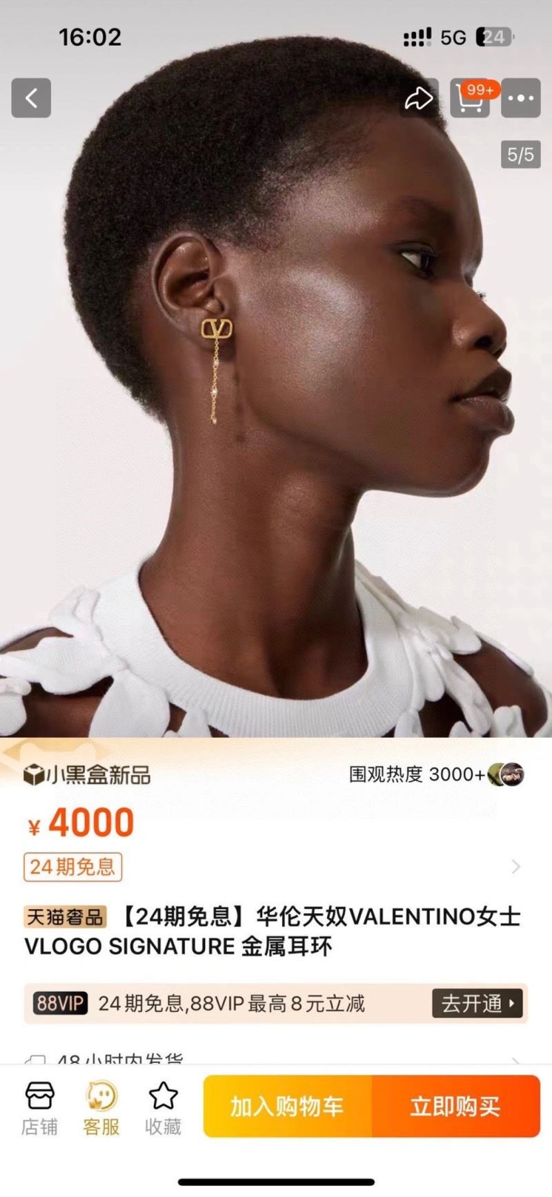 Economical Valentino Earrings