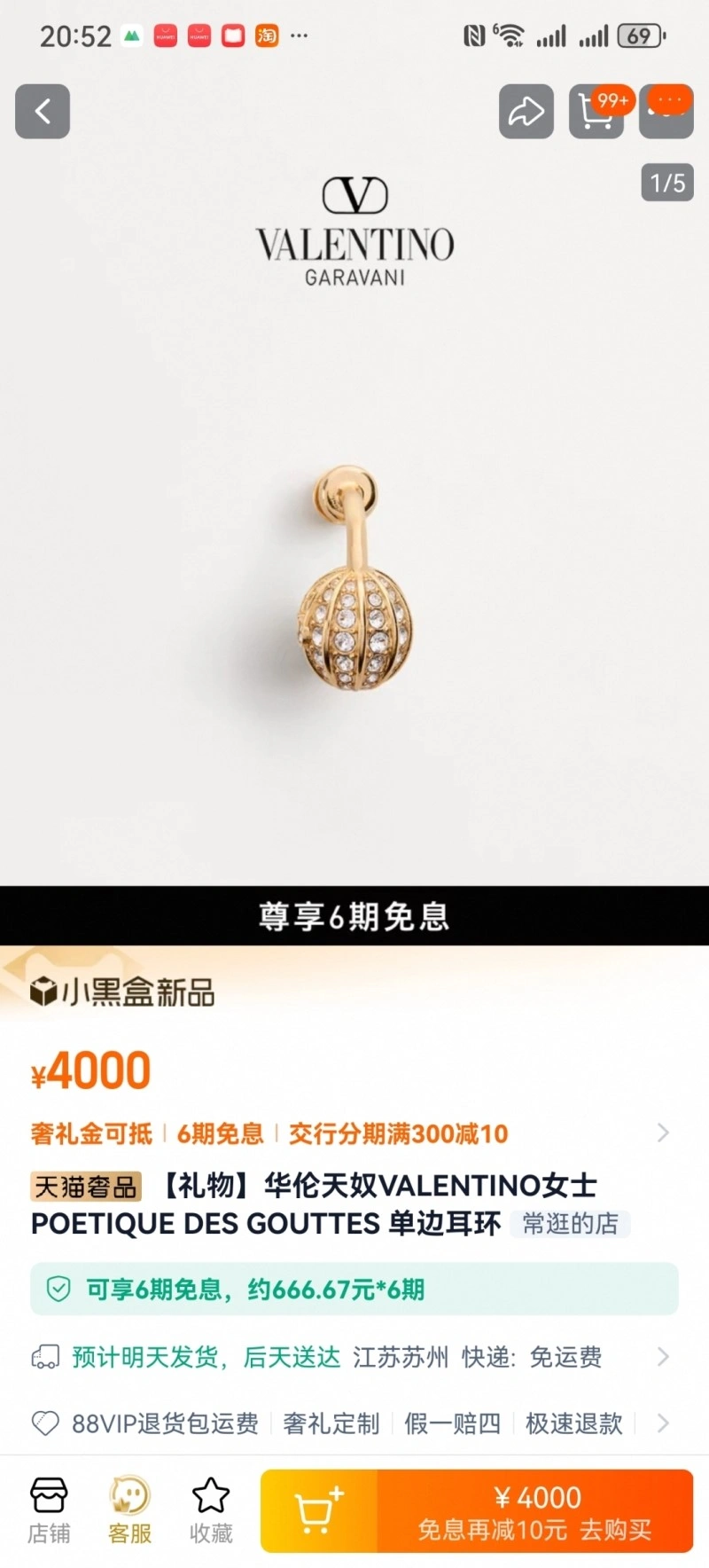 Cut-rate Valentino Earrings