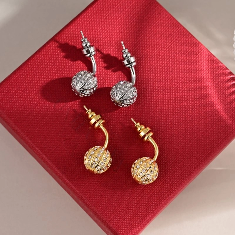 Cut-rate Valentino Earrings