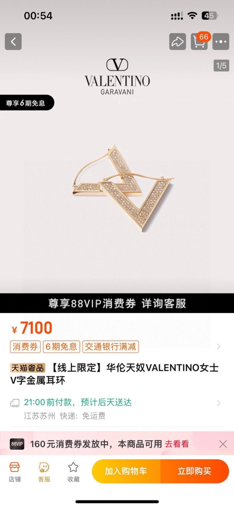 1:1 copy Valentino Earrings