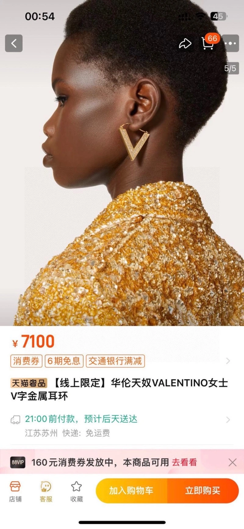 1:1 copy Valentino Earrings