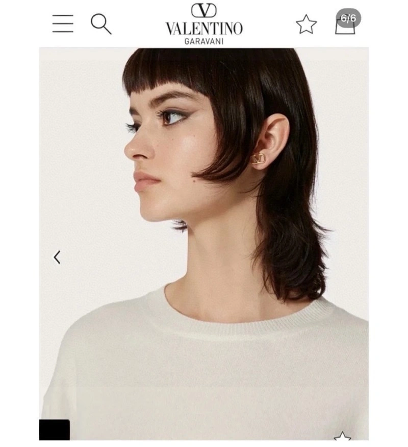 Precise copy Valentino Earrings