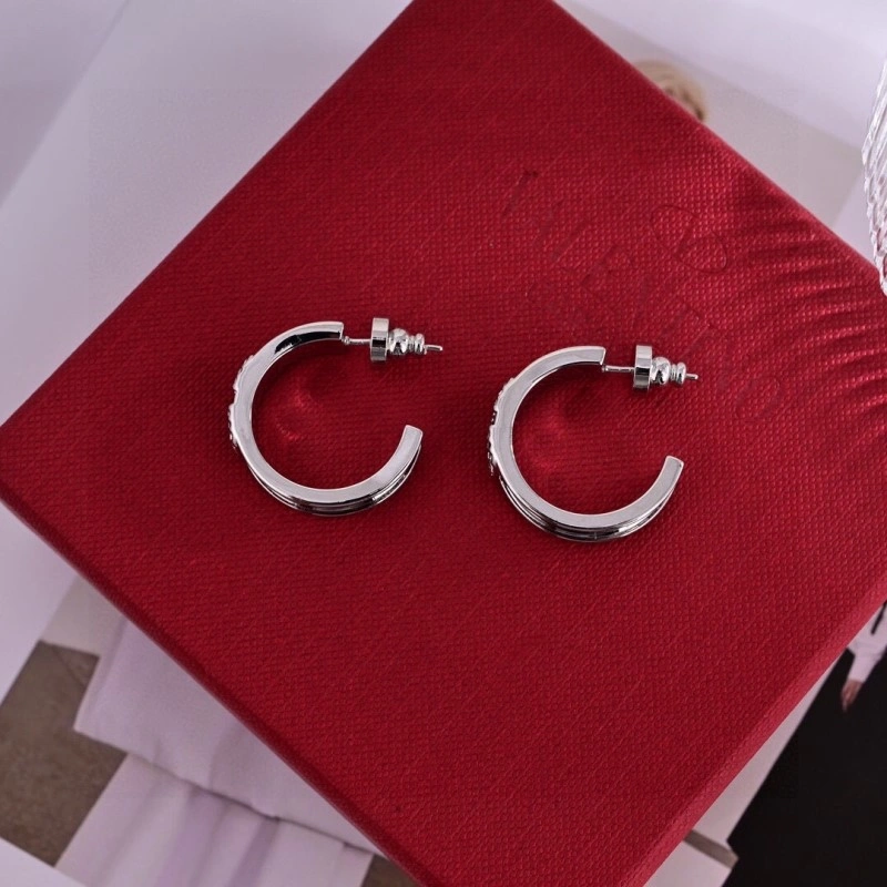 Genuine Valentino Earrings